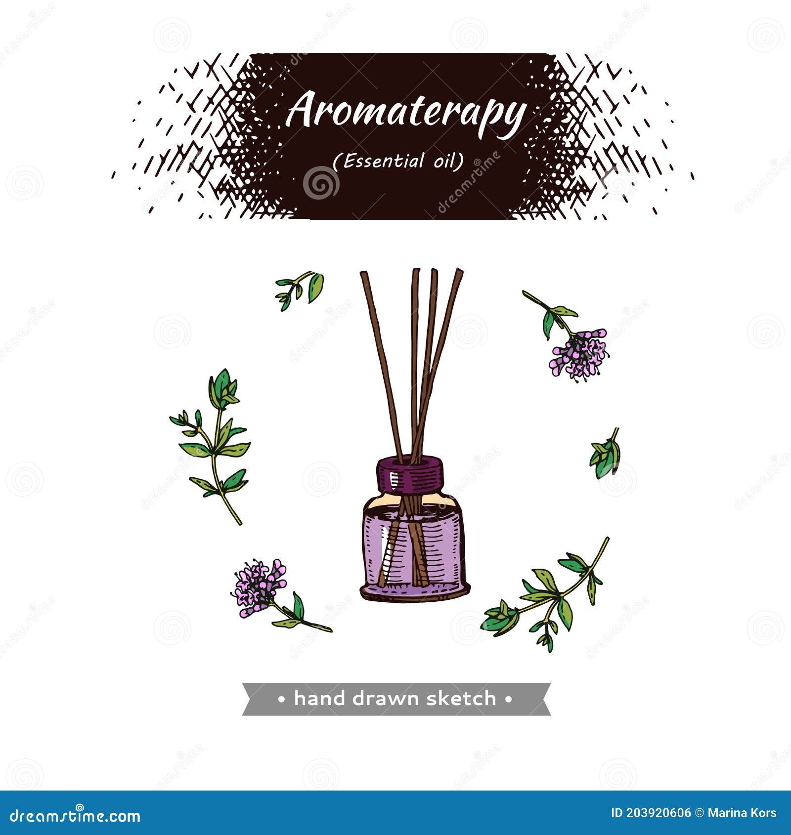 Aromatherapy Accessory . Detailed Hand-drawn Sketches Stock Vector ...