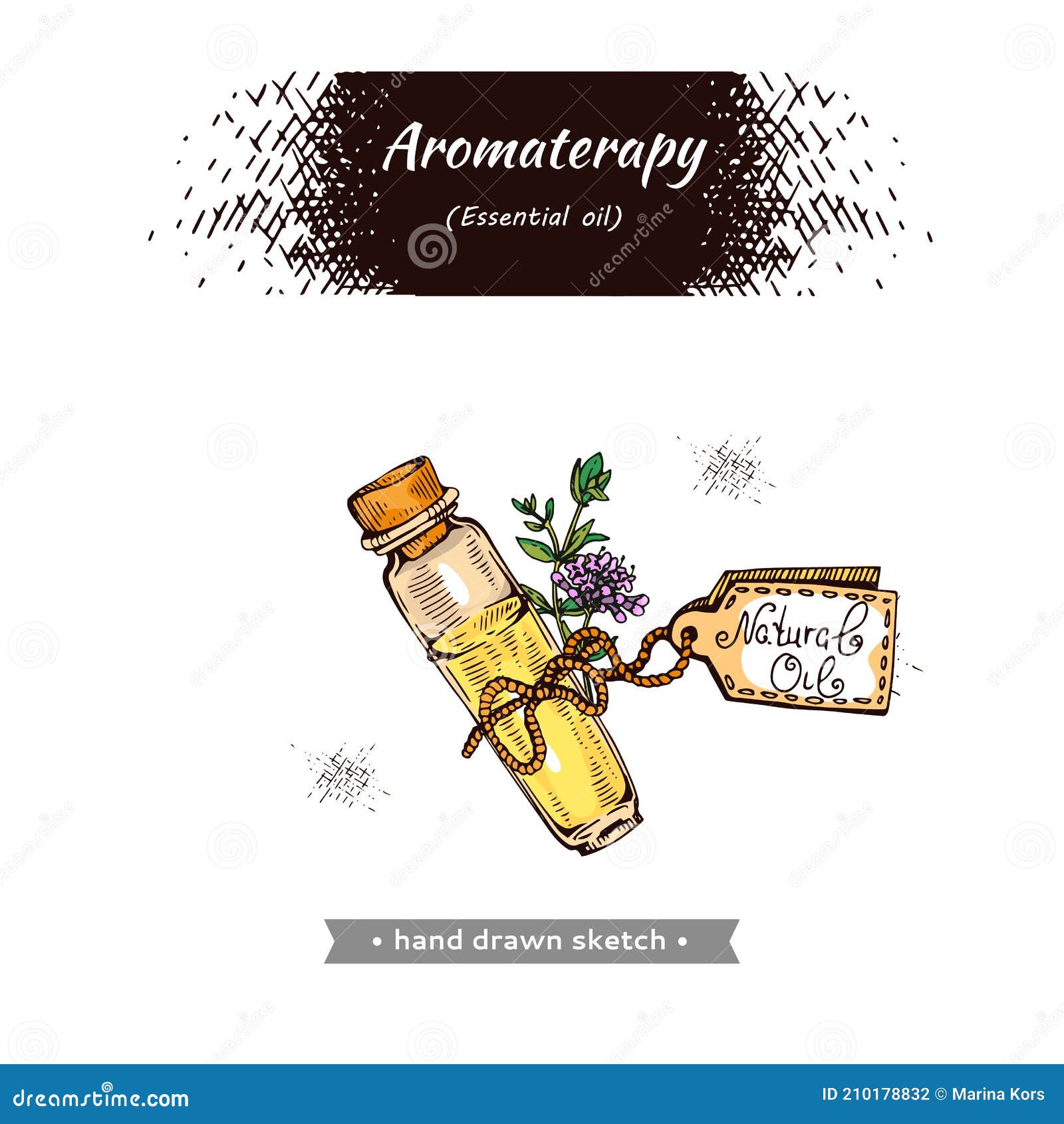 Aromatherapy Accessory . Detailed Hand-drawn Sketches Stock Vector ...