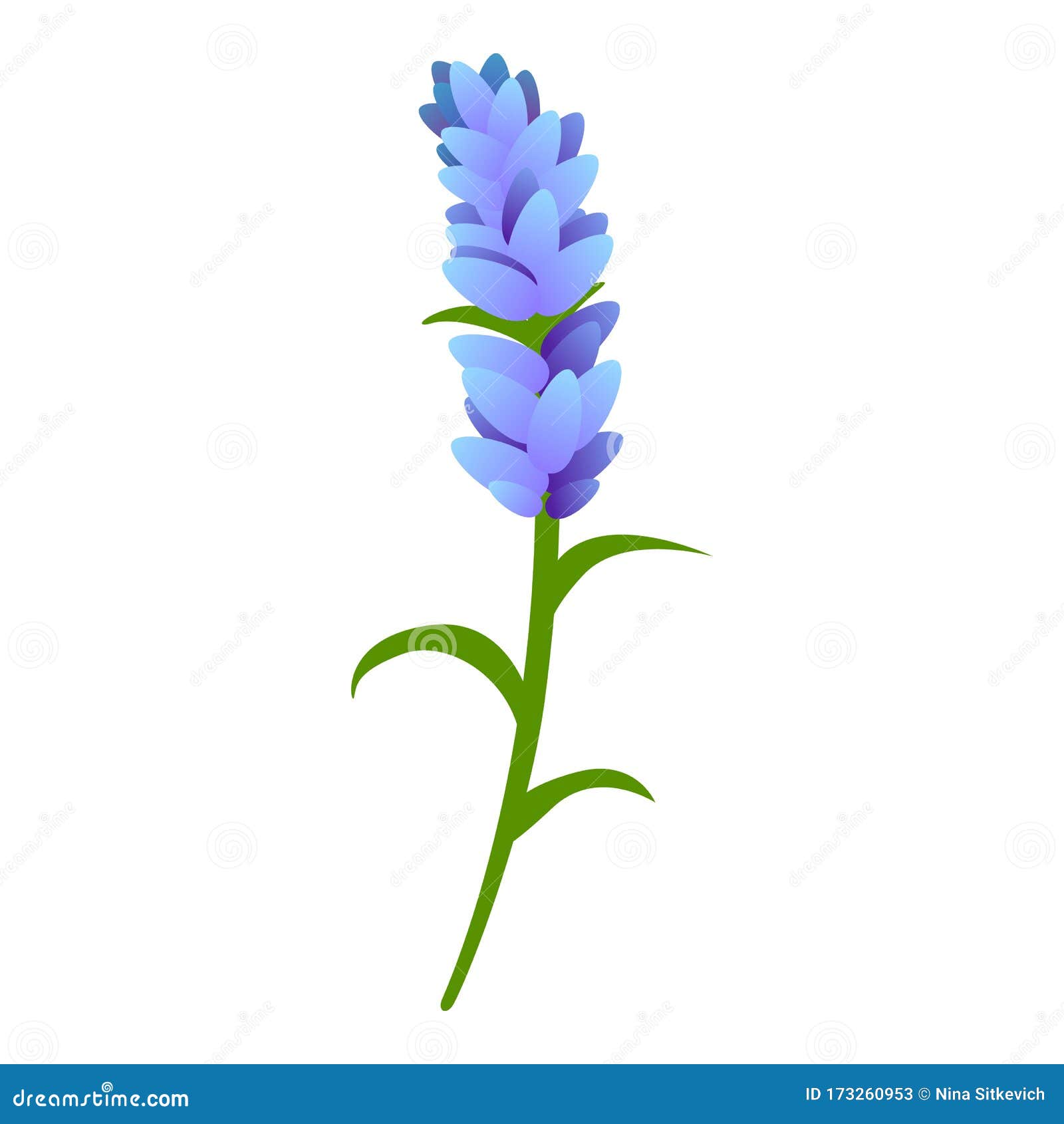 Aromatherapy Lavender Icon, Cartoon Style Stock Vector - Illustration ...