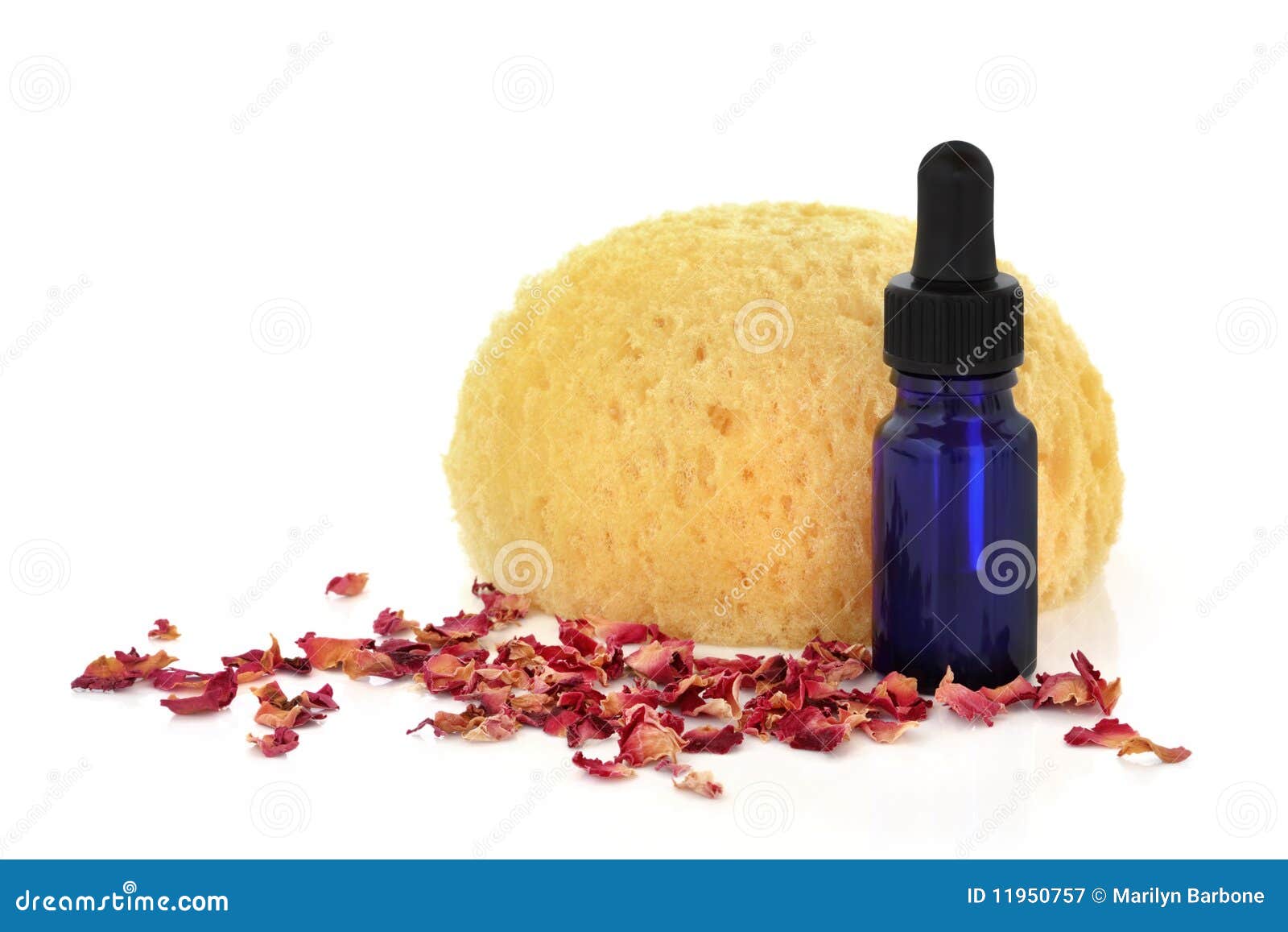 Aromatherapy Rose Essence stock image. Image of health - 11950757