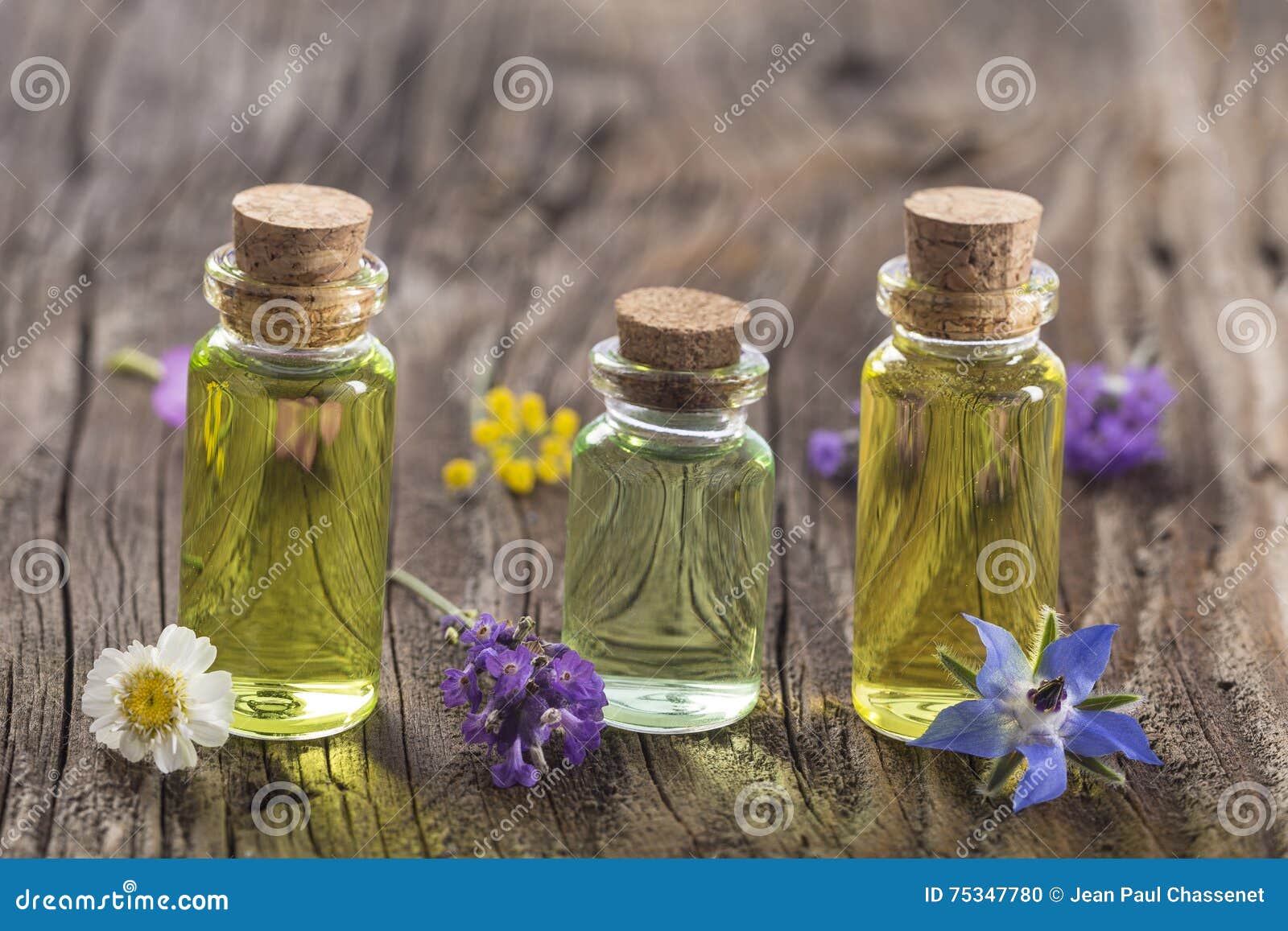 Aromatherapy and science stock photo. Image of focus - 75347780