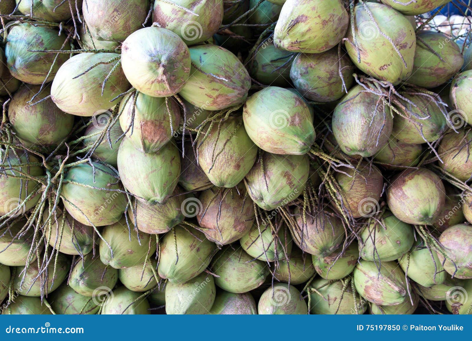Aromatic coconut stackable stock photo. Image of sweet - 75197850