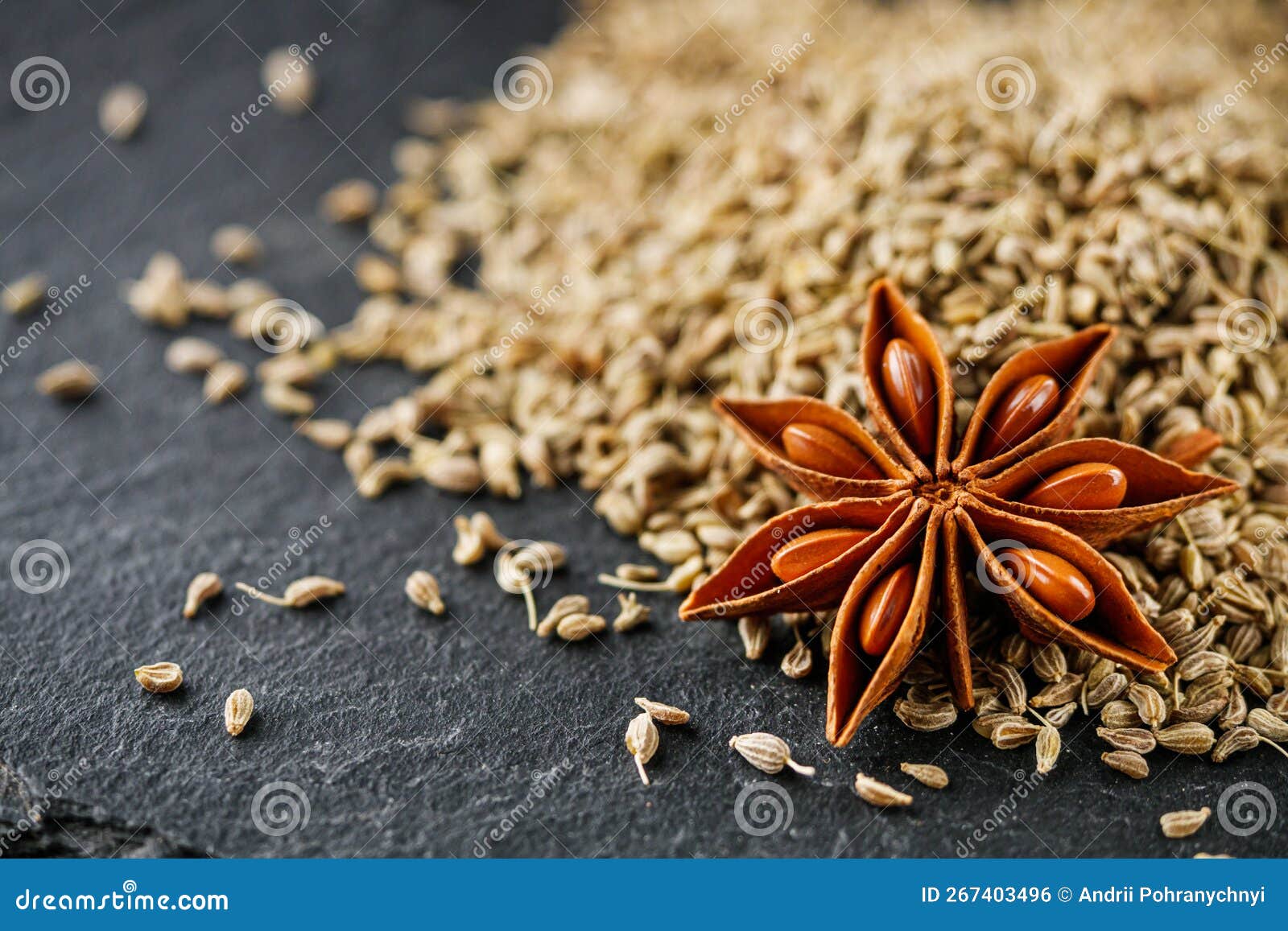 Aromatic Dry Anise Seeds on a Dark Black Stone Background Stock Photo ...
