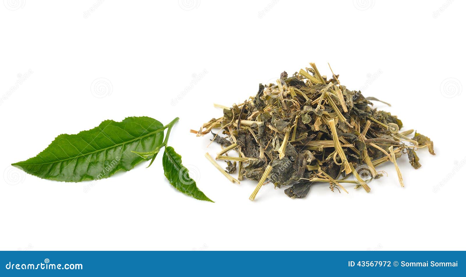 Aromatic Green Tea on White Background Stock Photo - Image of drink ...