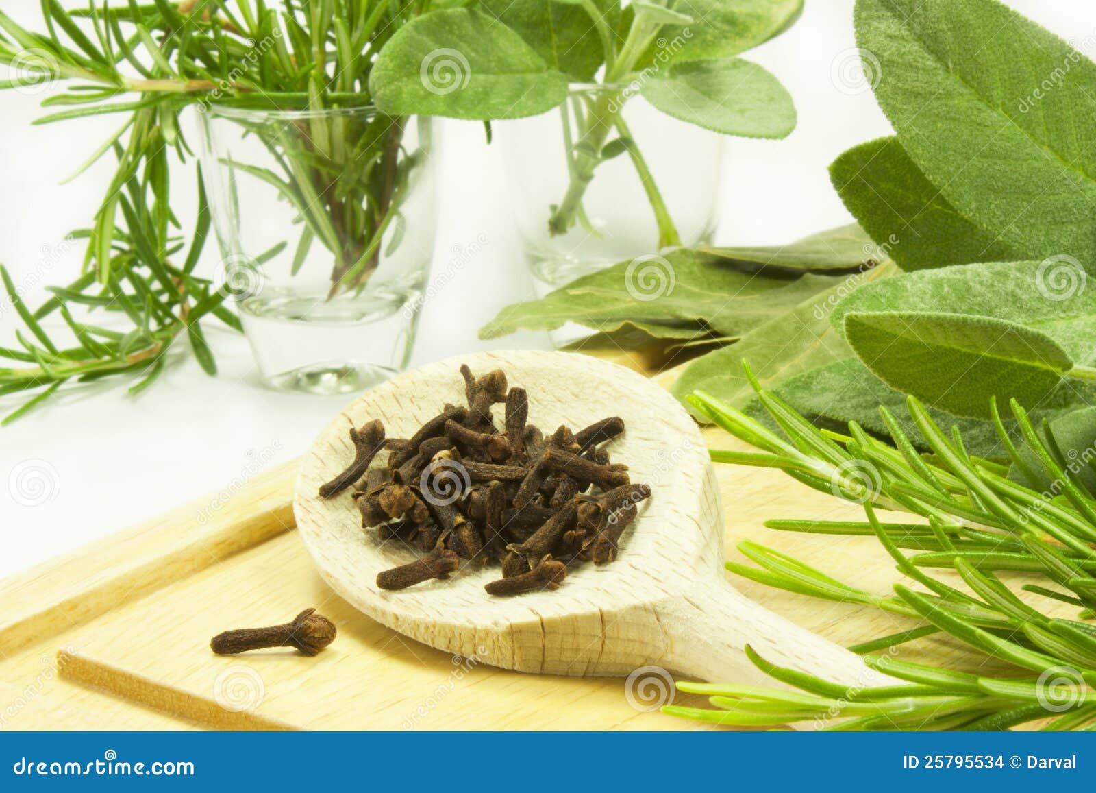 Aromatic herb. stock photo. Image of spices, seasonings - 25795534