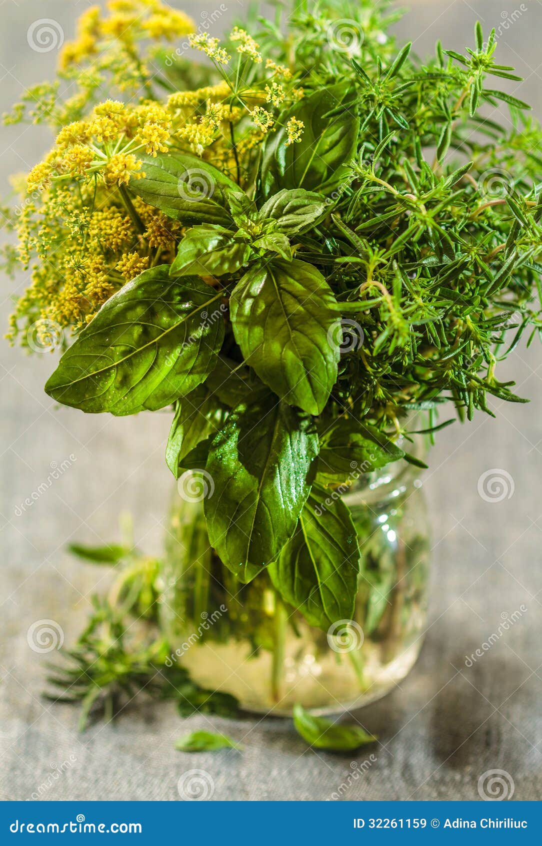 Aromatic herbs stock image. Image of oregano, cook, organic - 32261159