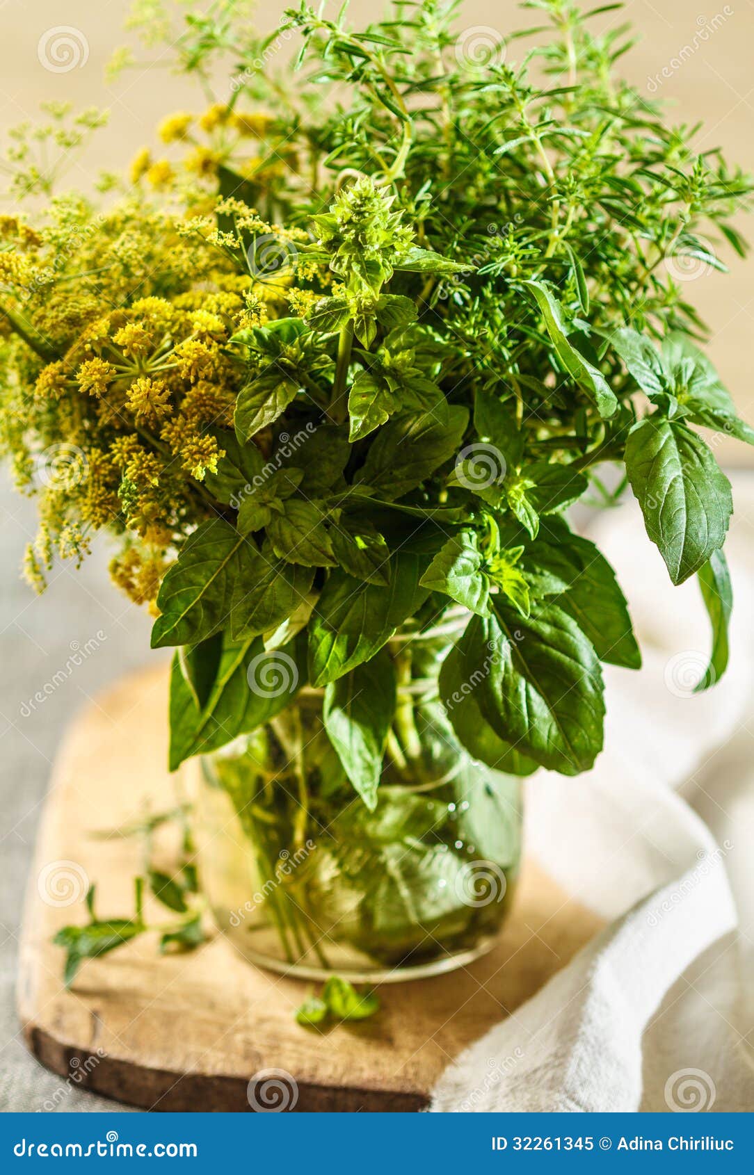Aromatic herbs stock image. Image of macro, flavor, leaf - 32261345