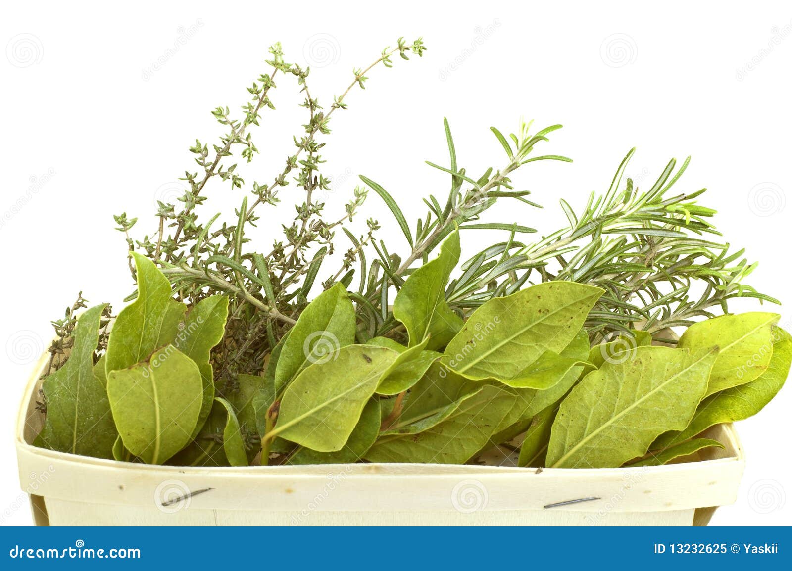 Aromatic herbs isolated stock image. Image of aromatherapy - 13232625