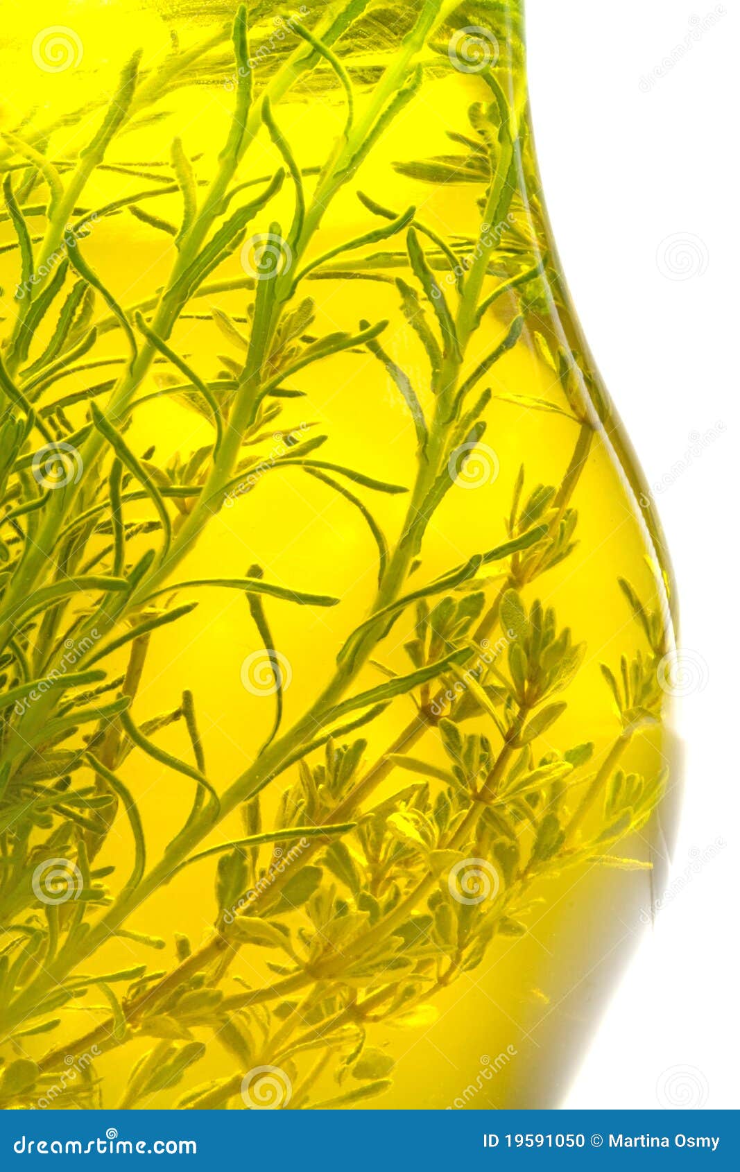 Aromatic Oil stock photo. Image of plant, closeup, aromatic - 19591050