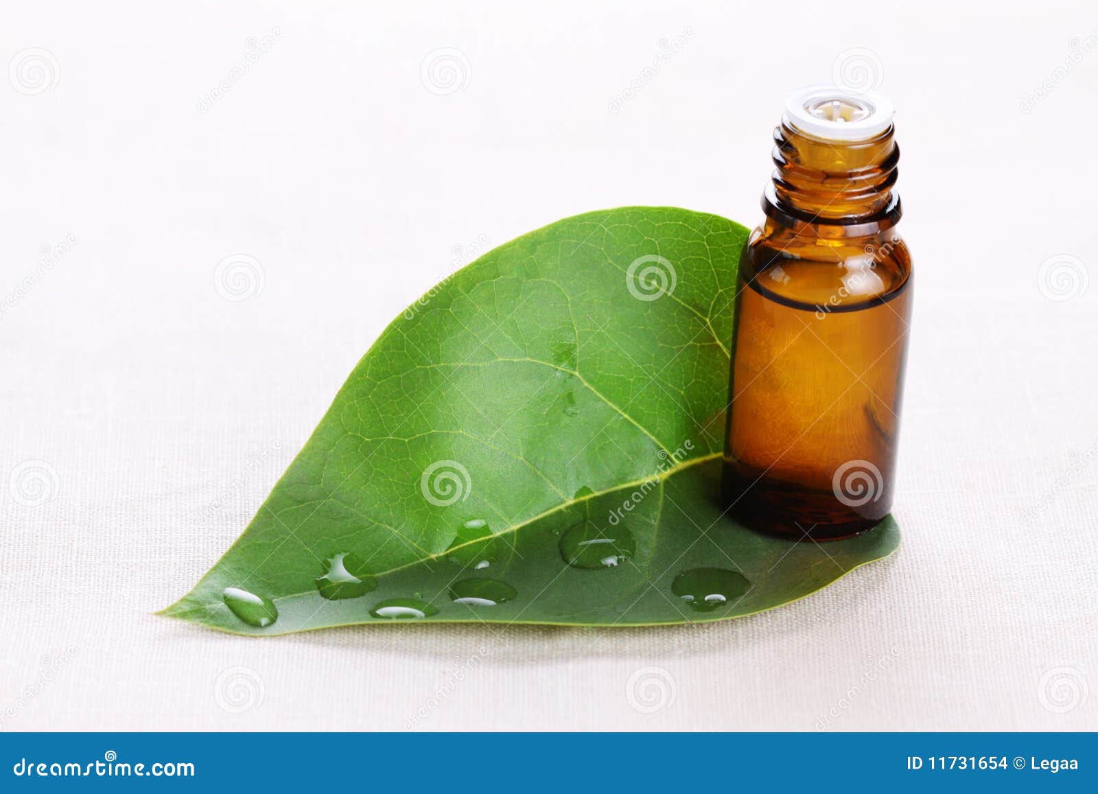Aromatic Oil with a Green Leaf Stock Photo - Image of massage, scented ...