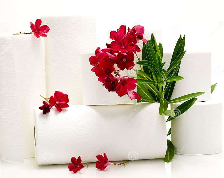 Aromatic Paper Goodies stock image. Image of clean, paper - 10540619