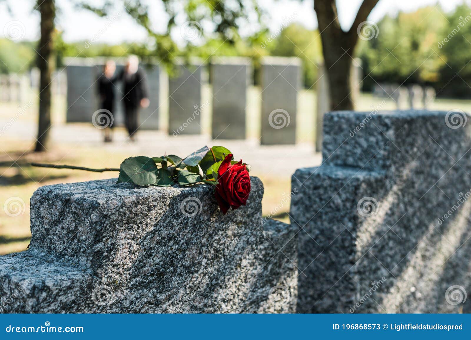 Red Rose on Concrete Tombstone in Cemetery Stock Image - Image of ...