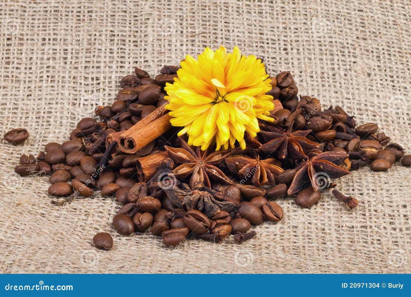 Aromatic spices stock photo. Image of delicious, east - 20971304