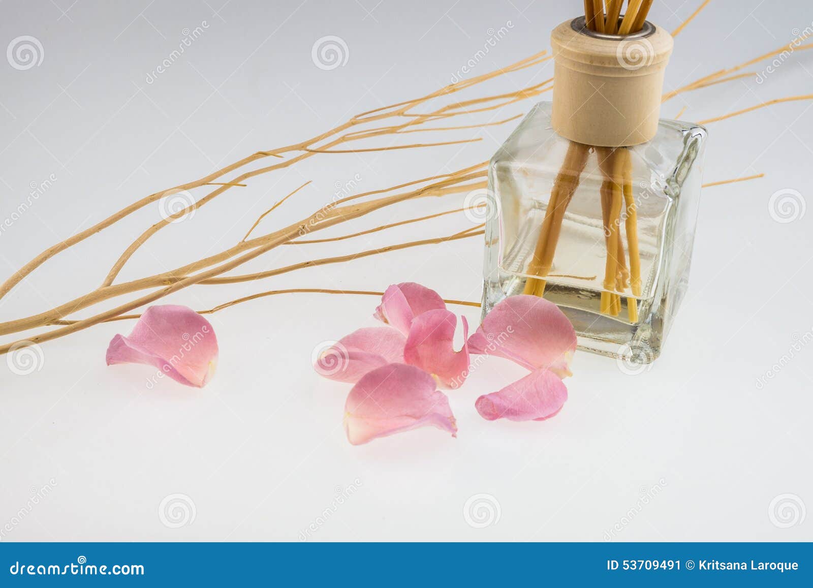 Aromatic Sticks with Light Pink Rose and Dried Wood Stick Stock Image ...