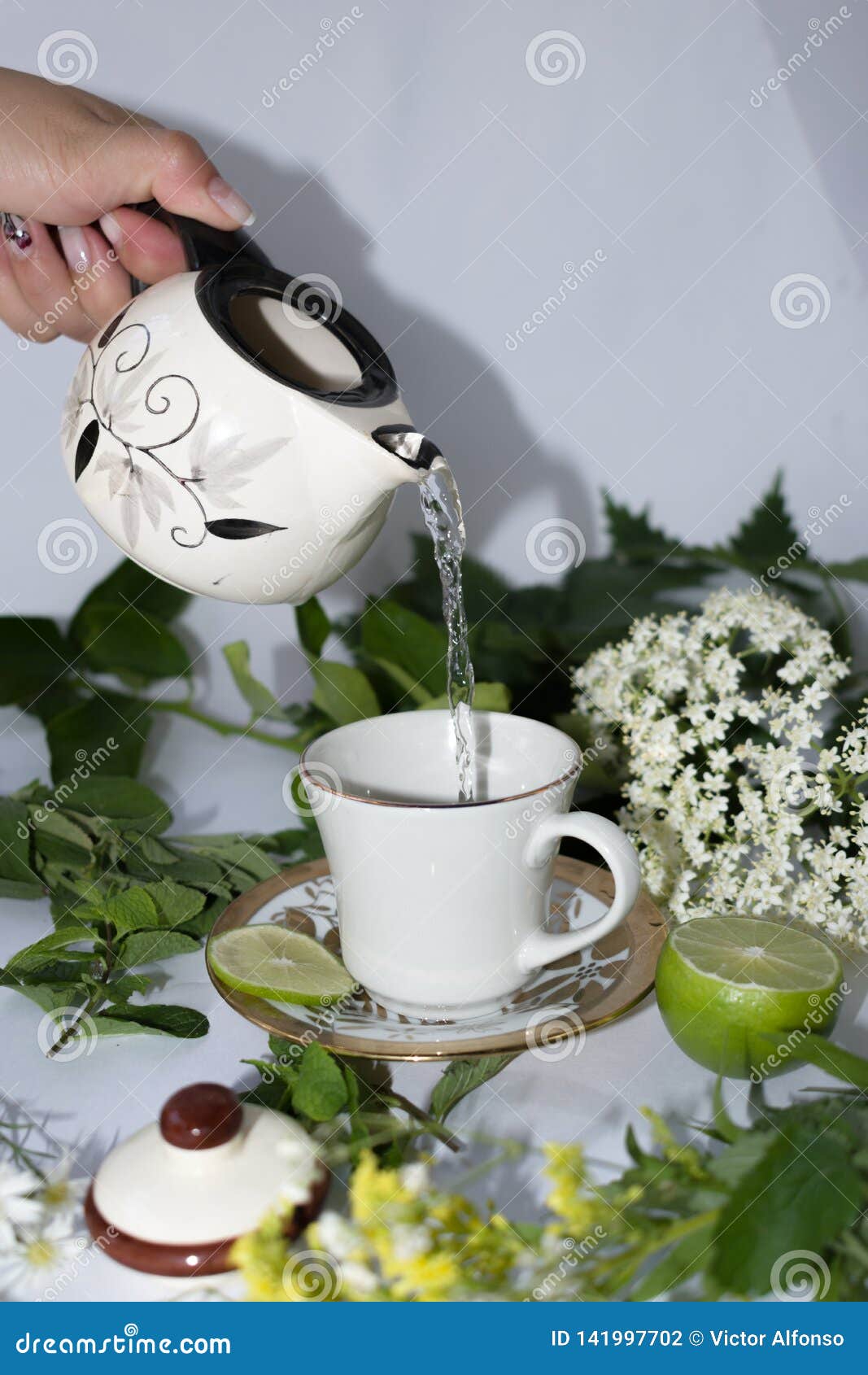 AROMATIC WATER SURROUNDED by MEDICINAL HERBS ANN LEMON Stock Photo ...