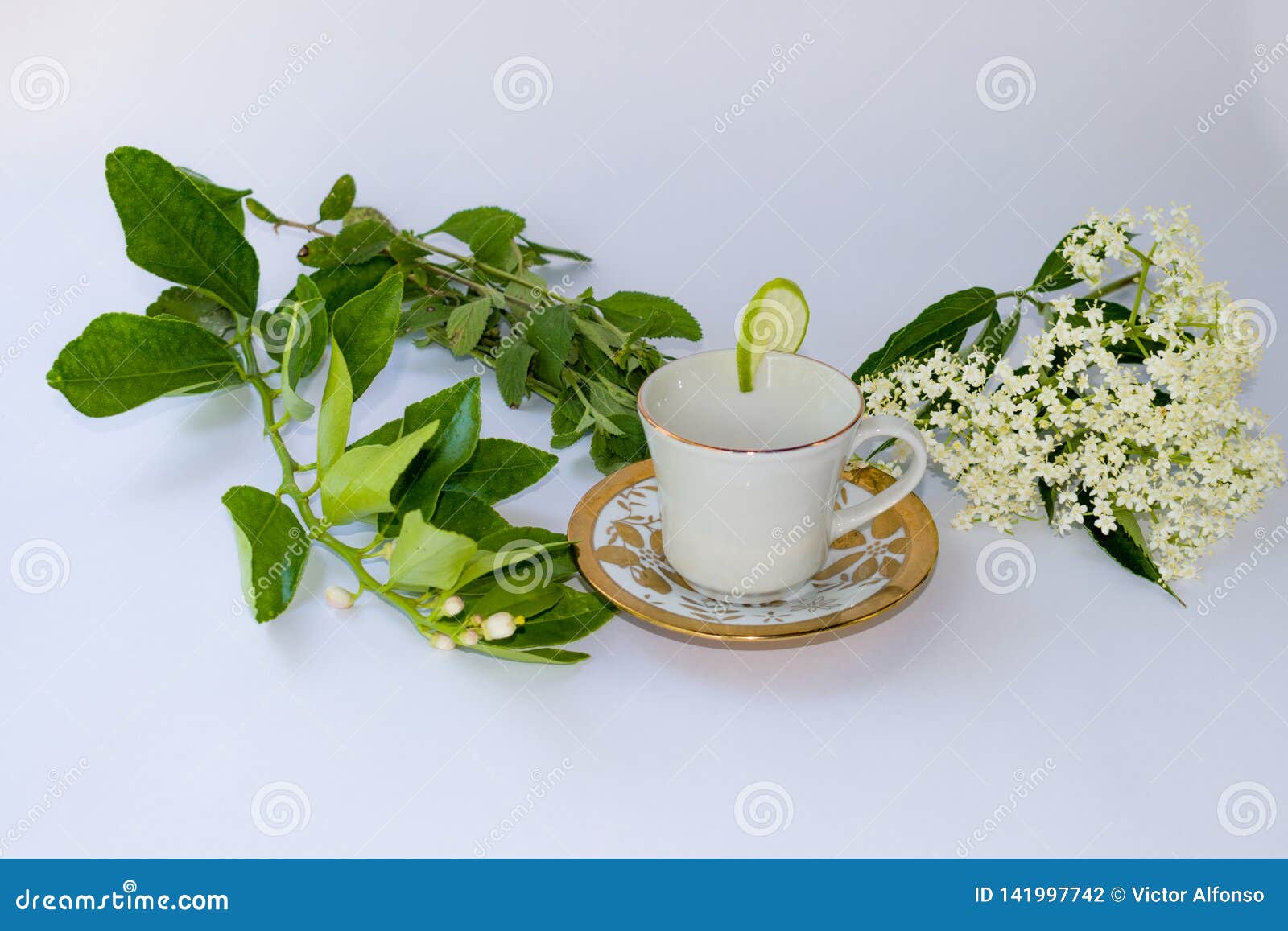 AROMATIC WATER SURROUNDED by MEDICINAL HERBS ANN LEMON Stock Photo ...