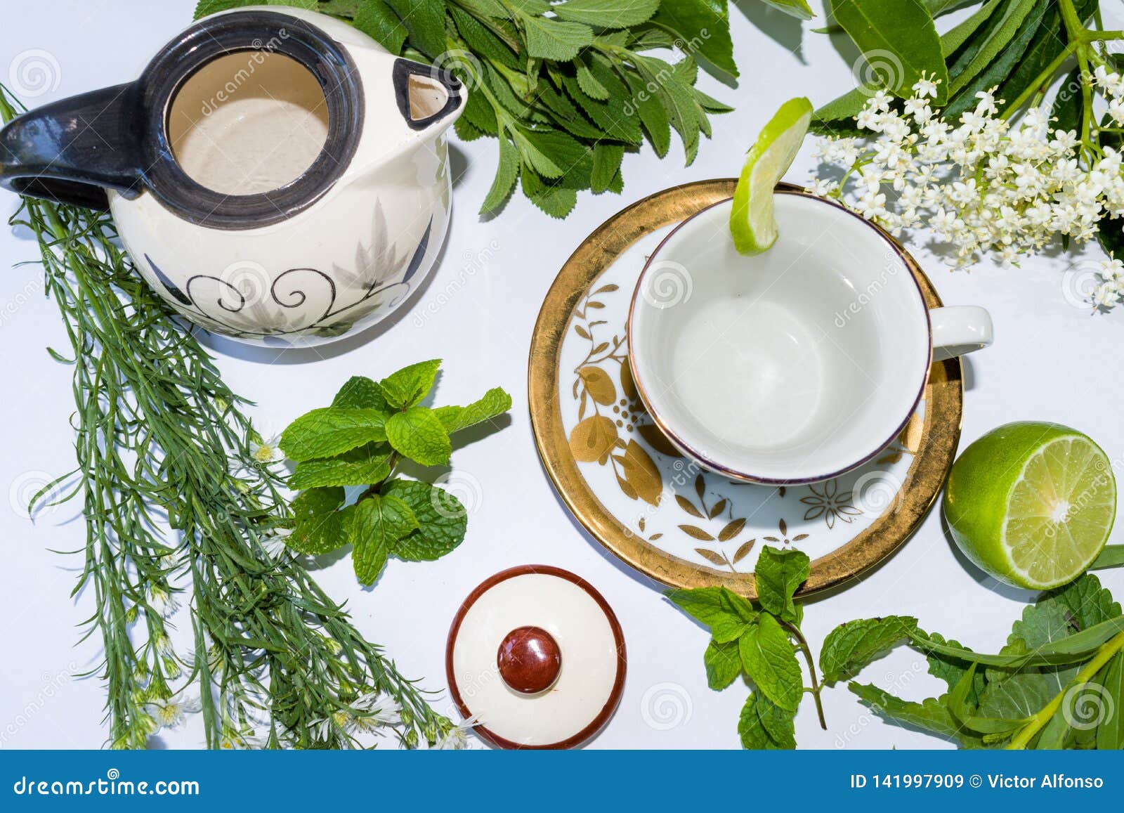 AROMATIC WATER SURROUNDED by MEDICINAL HERBS ANN LEMON Stock Image ...
