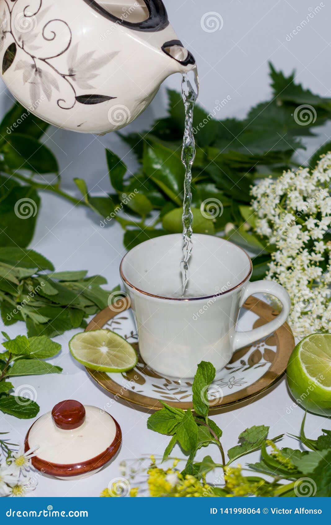 AROMATIC WATER SURROUNDED by MEDICINAL HERBS ANN LEMON Stock Photo ...