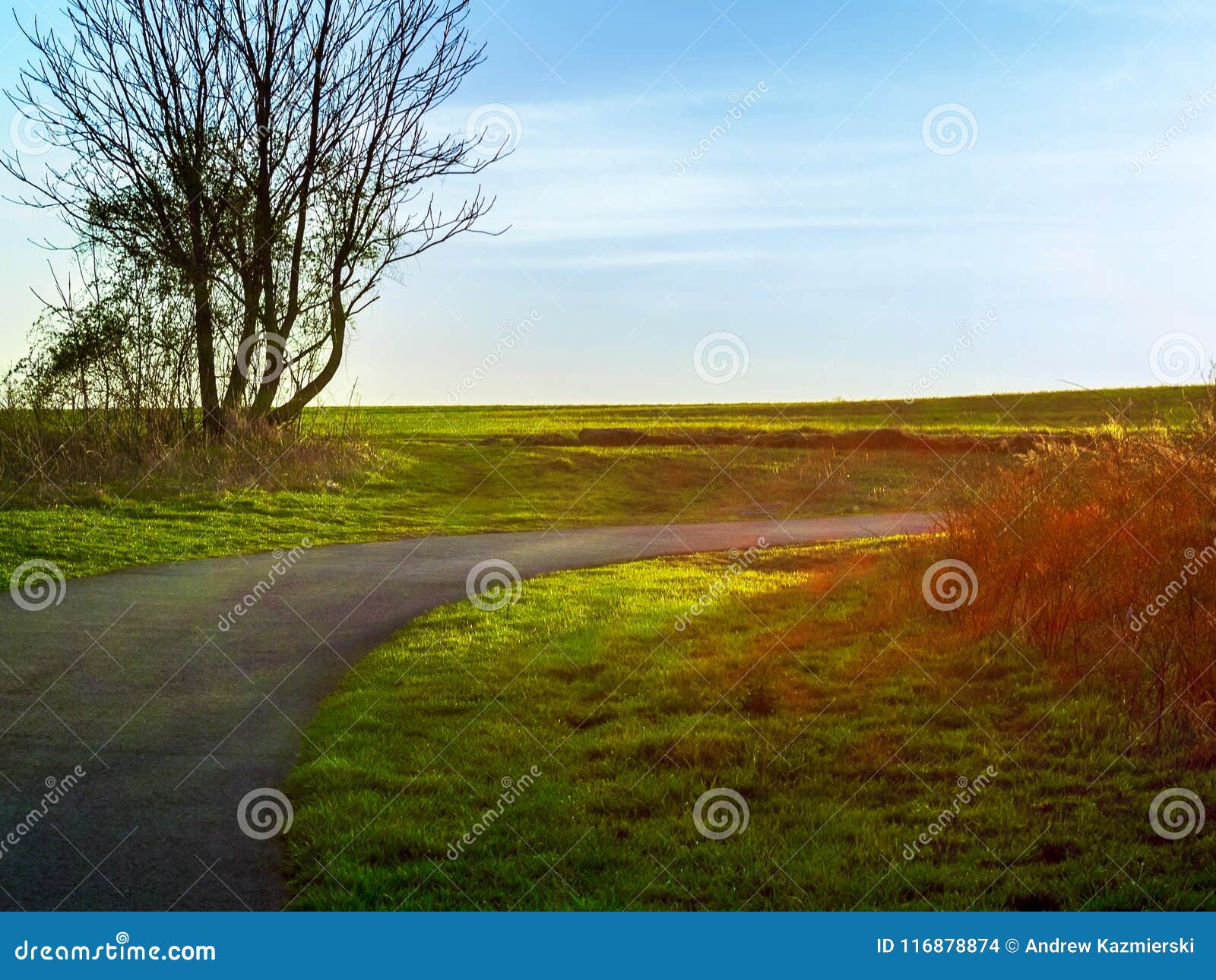 Around the Bend stock photo. Image of path, bend, trail - 116878874