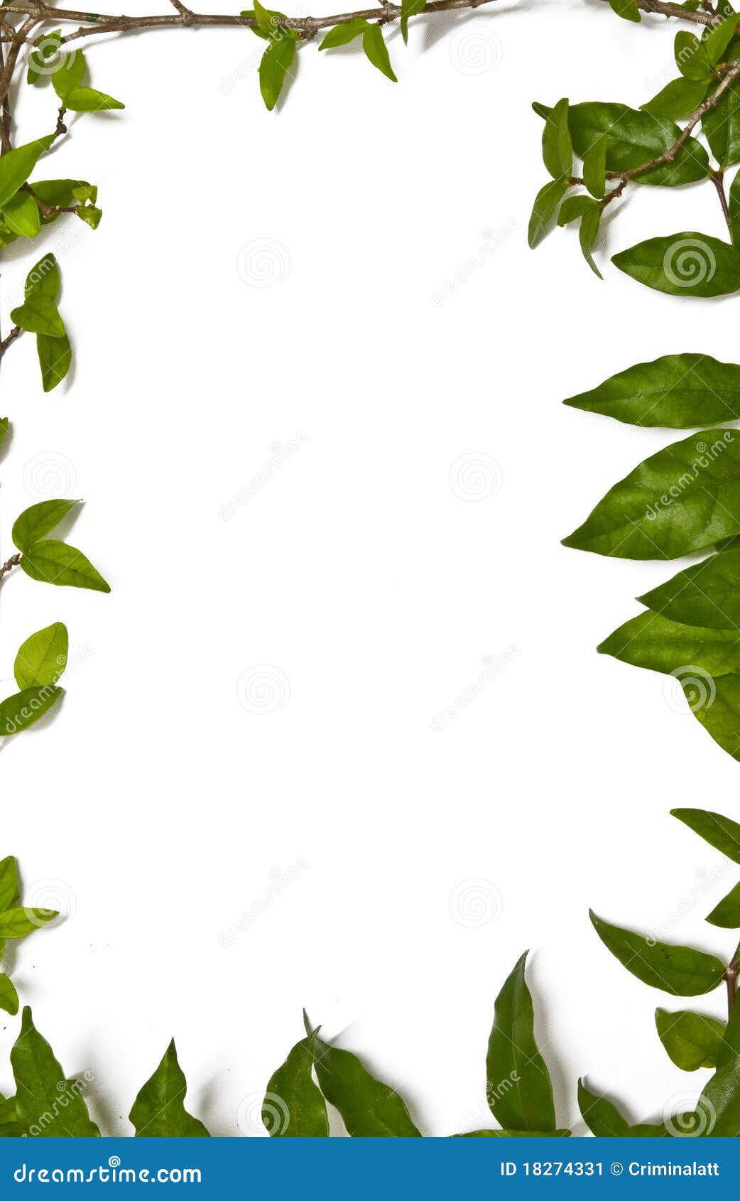 Around Corner Green Leaves Frame Stock Image - Image of design, color ...