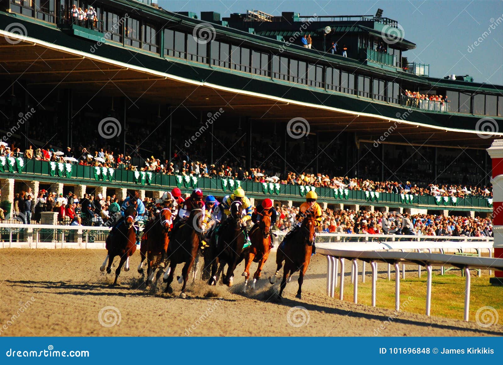Cheering Horse Racing Stock Photos - Free & Royalty-Free Stock Photos ...