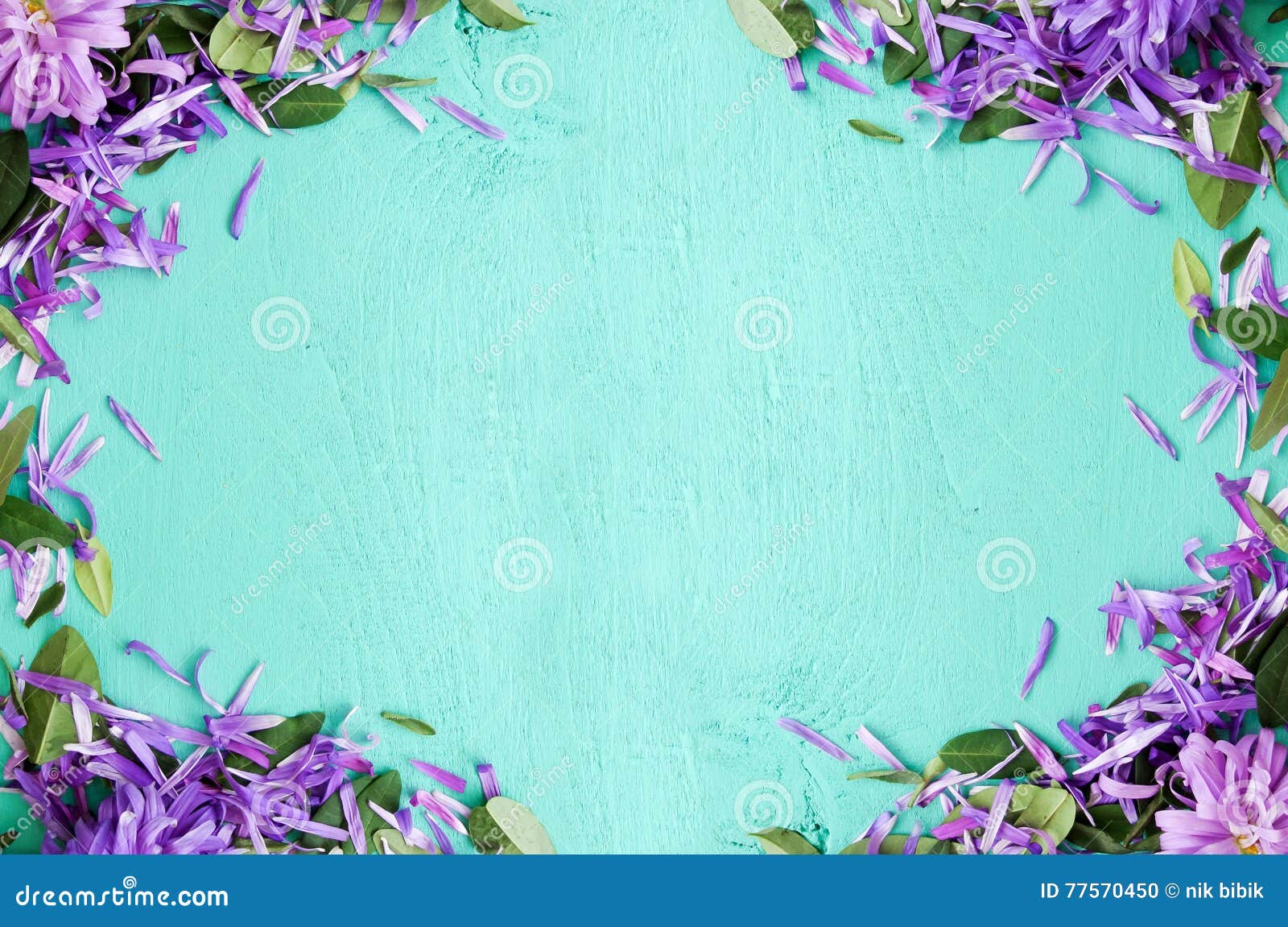 Around Scattered Flower Petals. Stock Photo - Image of flora, beauty ...