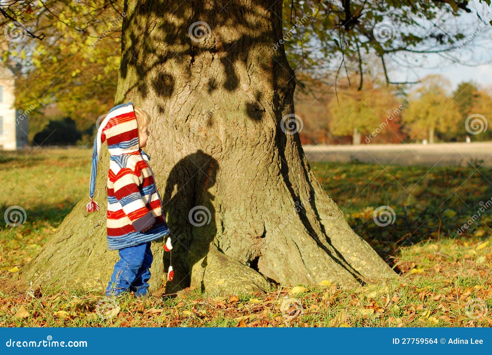 Around the tree stock photo. Image of nature, child, forest - 27759564