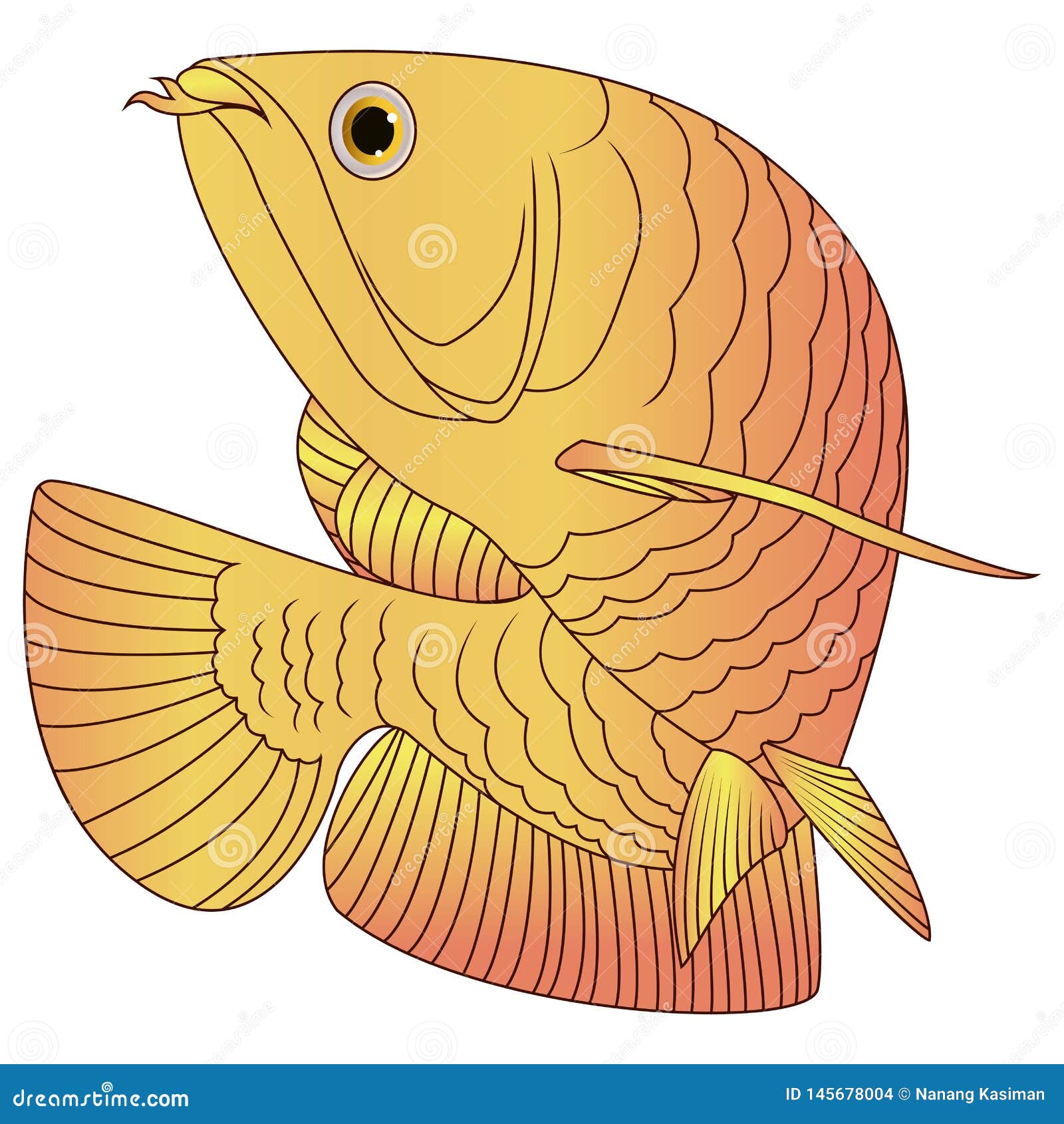 Arowana illustration stock vector. Illustration of decoration - 145678004