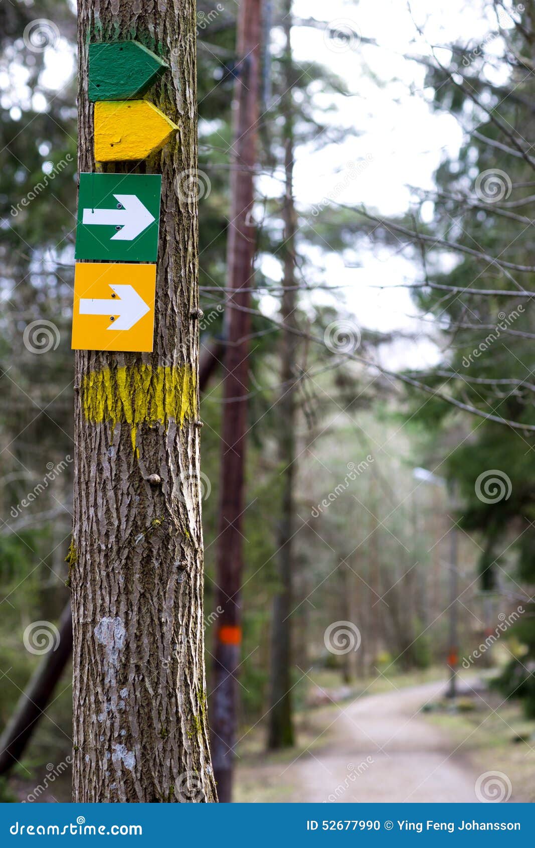 Arow signs on tree stock photo. Image of sign, hiking - 52677990