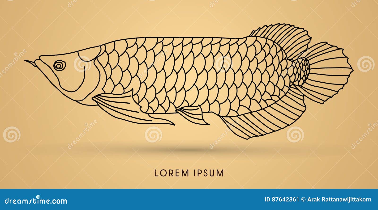Arowana Fish Graphic Vector. Stock Vector - Illustration of graphic ...