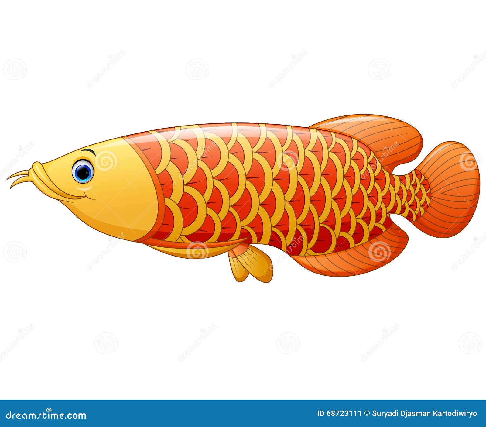 Arowana Fish Cartoon Vector | CartoonDealer.com #156720399