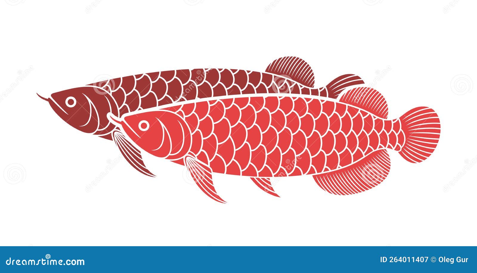 Arowana Logo. Dragon Fish. Isolated Arowana On White Background Cartoon ...