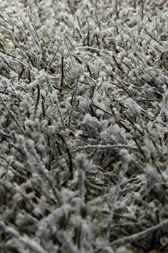 Arpet texture stock photo. Image of backdrop, decoration - 45600152