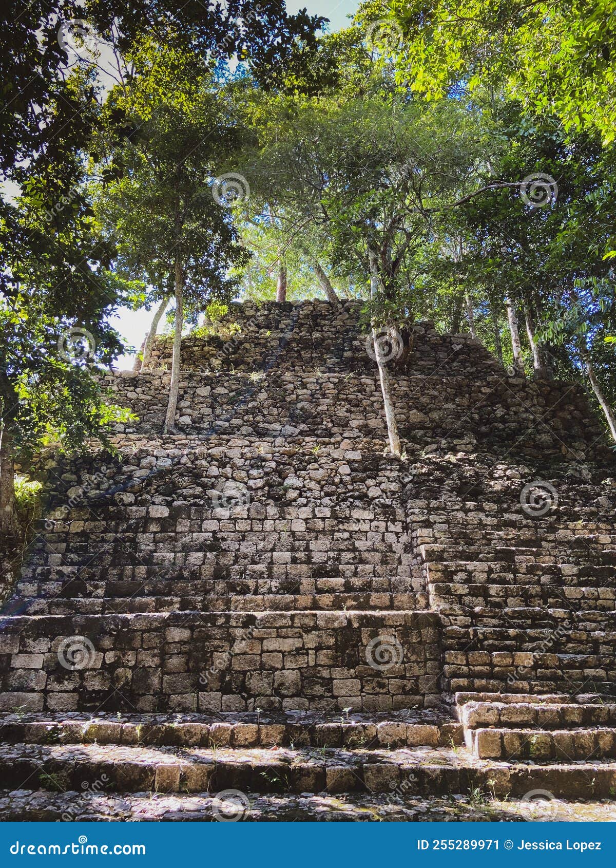 Arqueological Zone of Balamku Stock Image - Image of temple, plant ...
