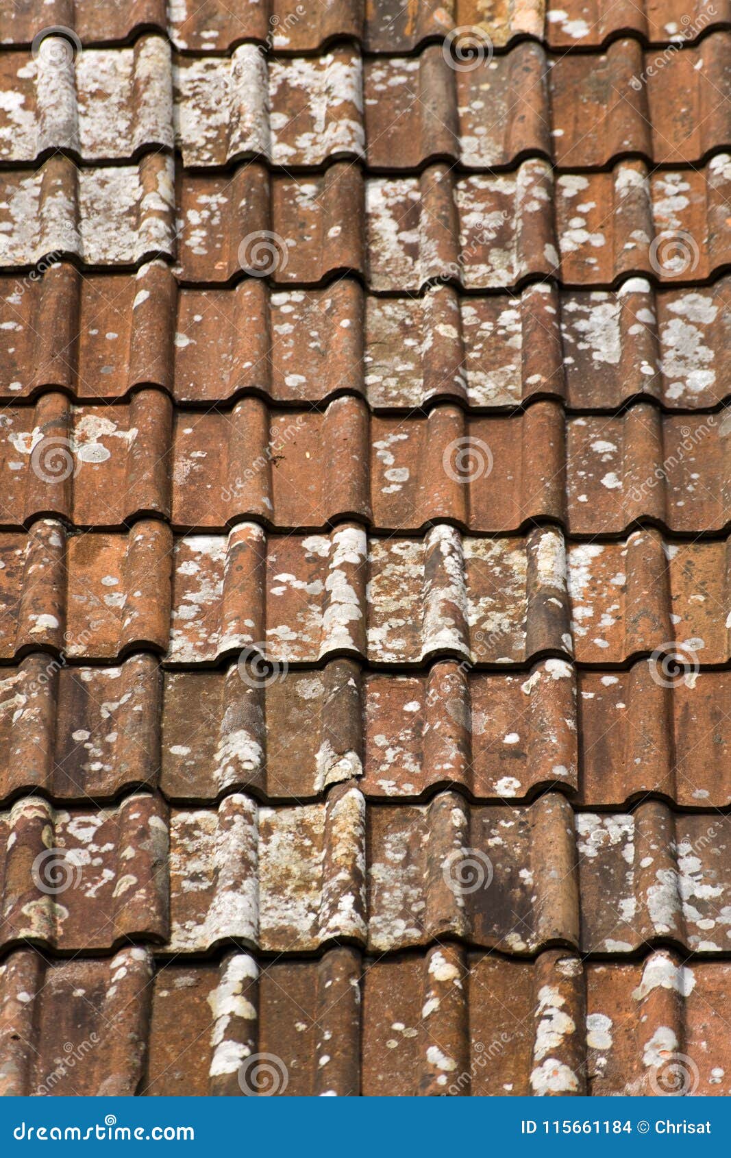 Arquitectura - techumbre foto de archivo. Imagen de afuera - 115661184