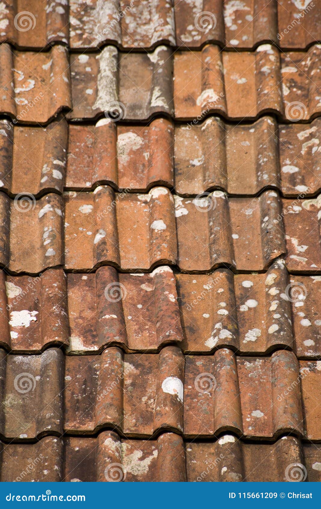 Arquitectura - techumbre imagen de archivo. Imagen de primer - 115661209