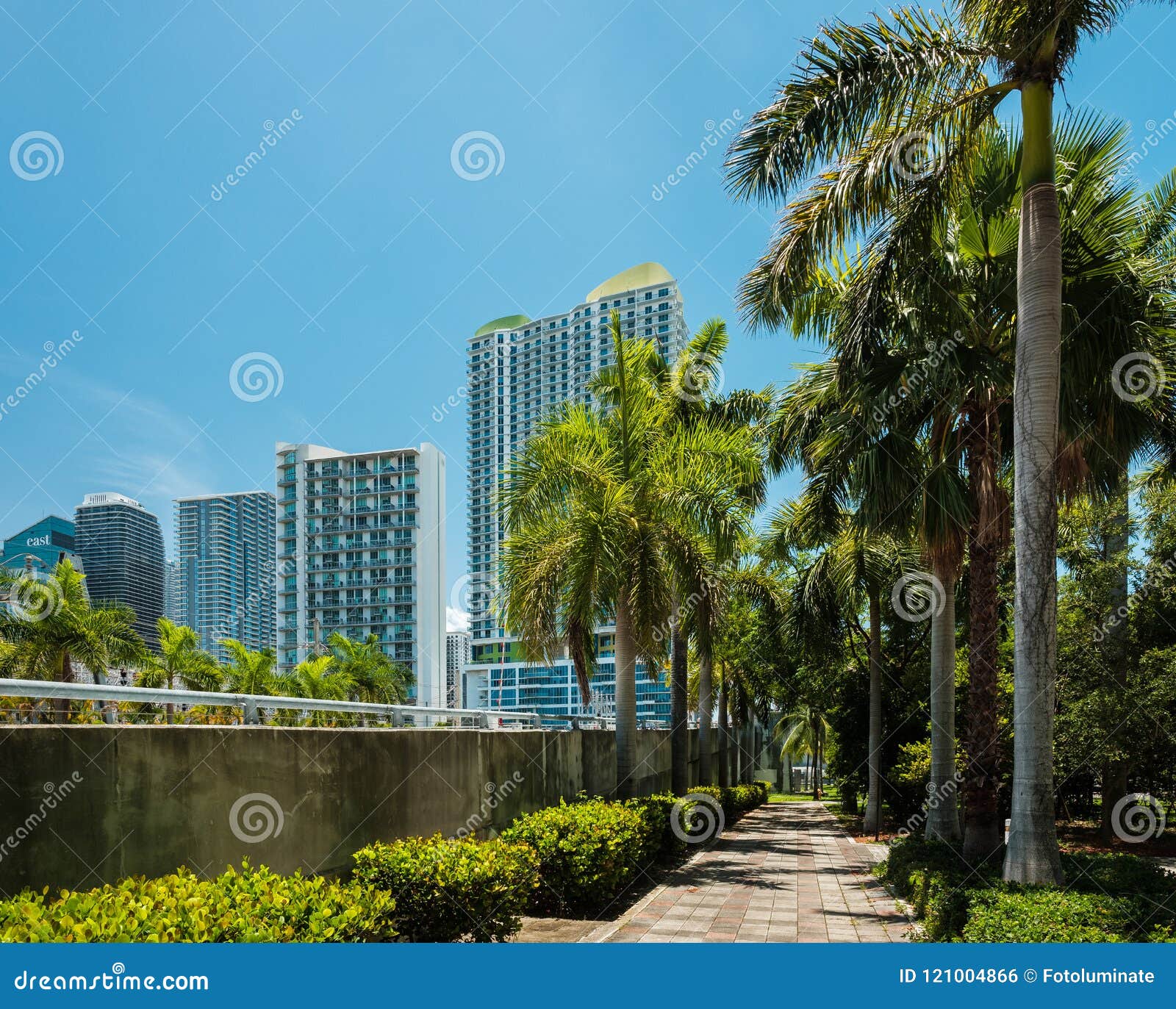 Arquitetura Da Cidade Do Centro De Miami Foto Editorial - Imagem de ...