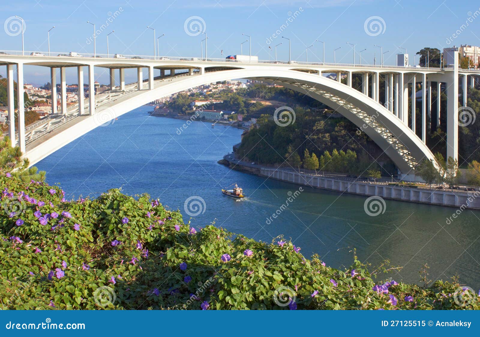 Arrabida bridge stock image. Image of skyline, architecture - 27125515
