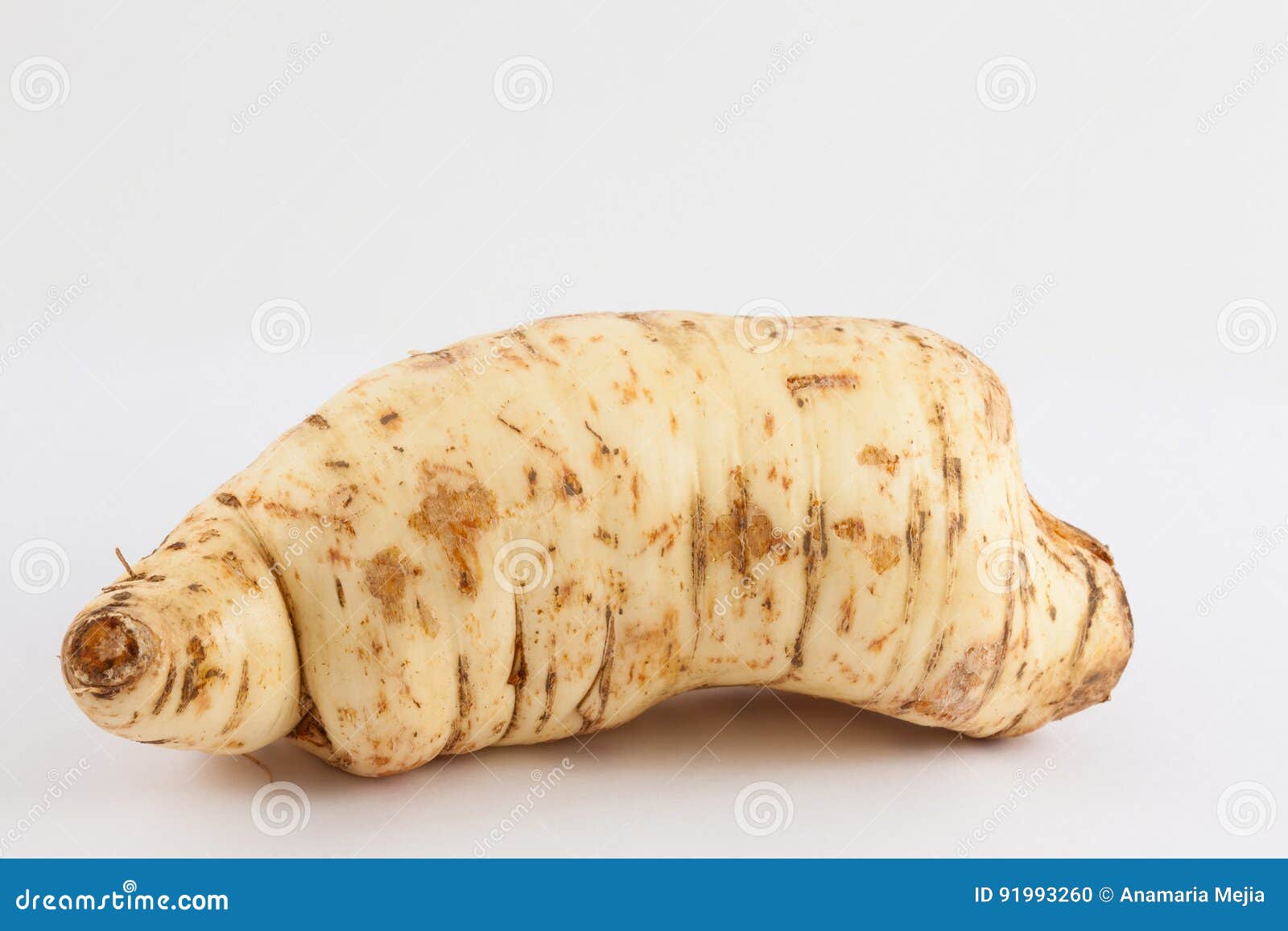 137 Arracacia Xanthorrhiza Stock Photos - Free & Royalty-Free Stock ...