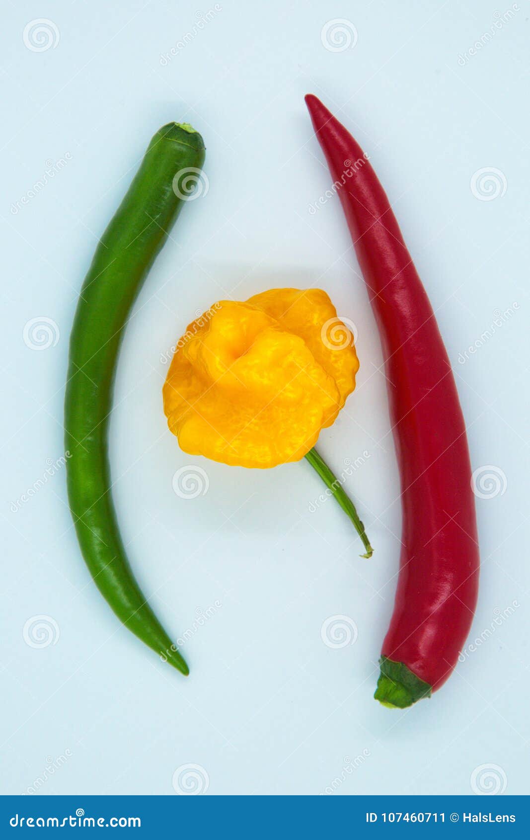 Collection of Multicoloured Chili Peppers Stock Image - Image of color ...