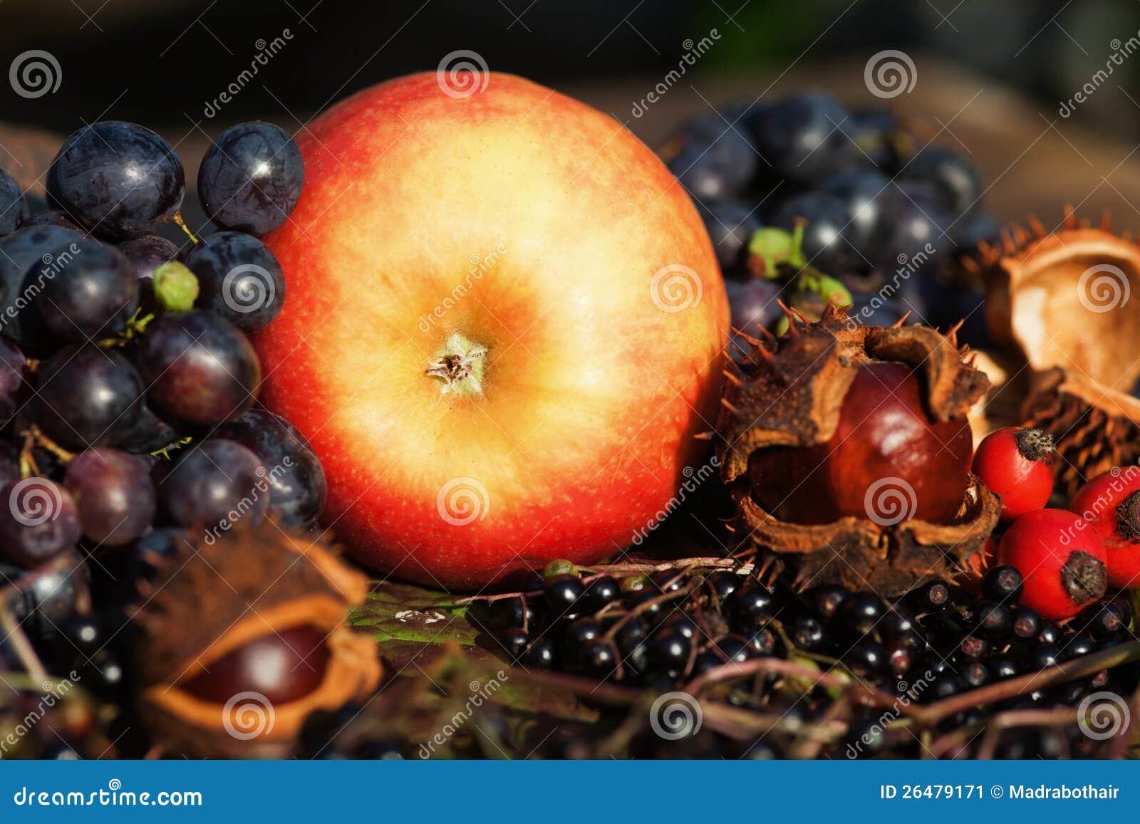 Arrangement of Autumnal Fruits Stock Image - Image of table, harvest ...