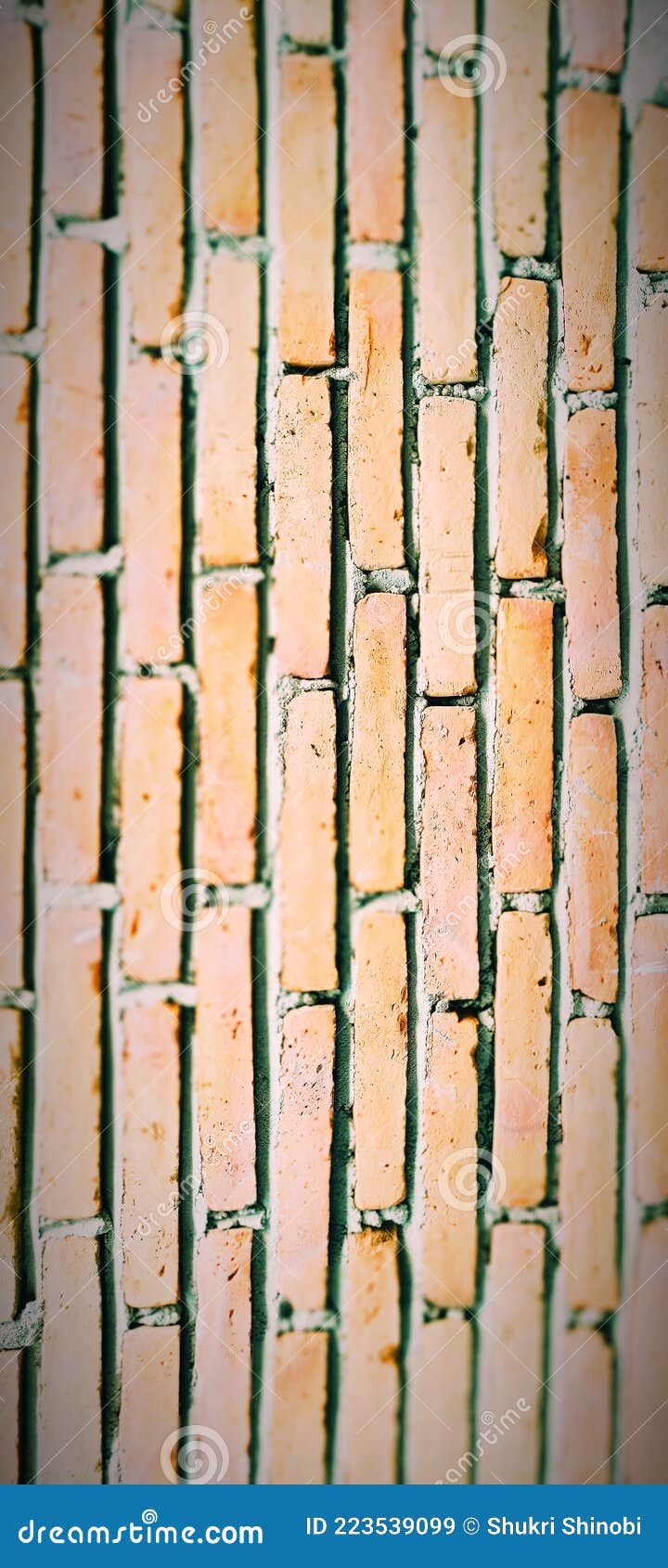 The Arrangement Of The Bricks Represents A Unique Structure Stock Image ...