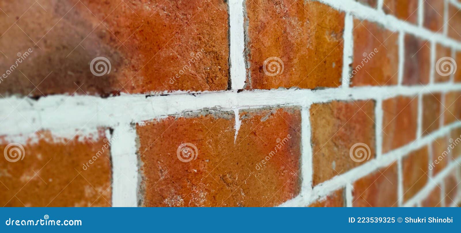 The Arrangement of Bricks that Form a Beautiful Straight Line and ...