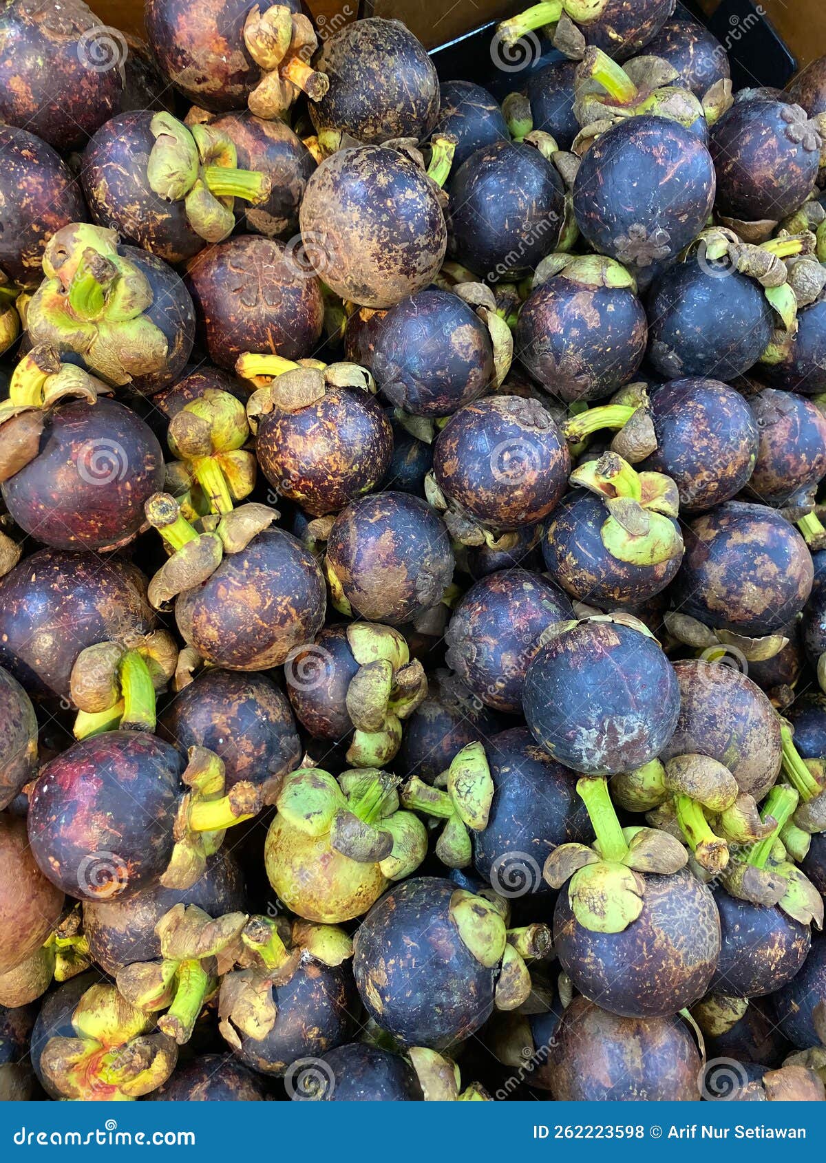 Arrangement of mangoesten stock photo. Image of table - 262223598