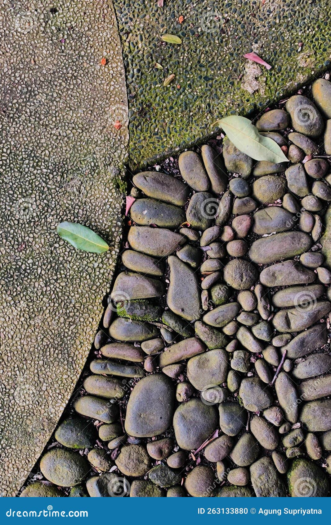 Arrangement of Mossy Rocks on the Road Stock Photo - Image of asphalt ...