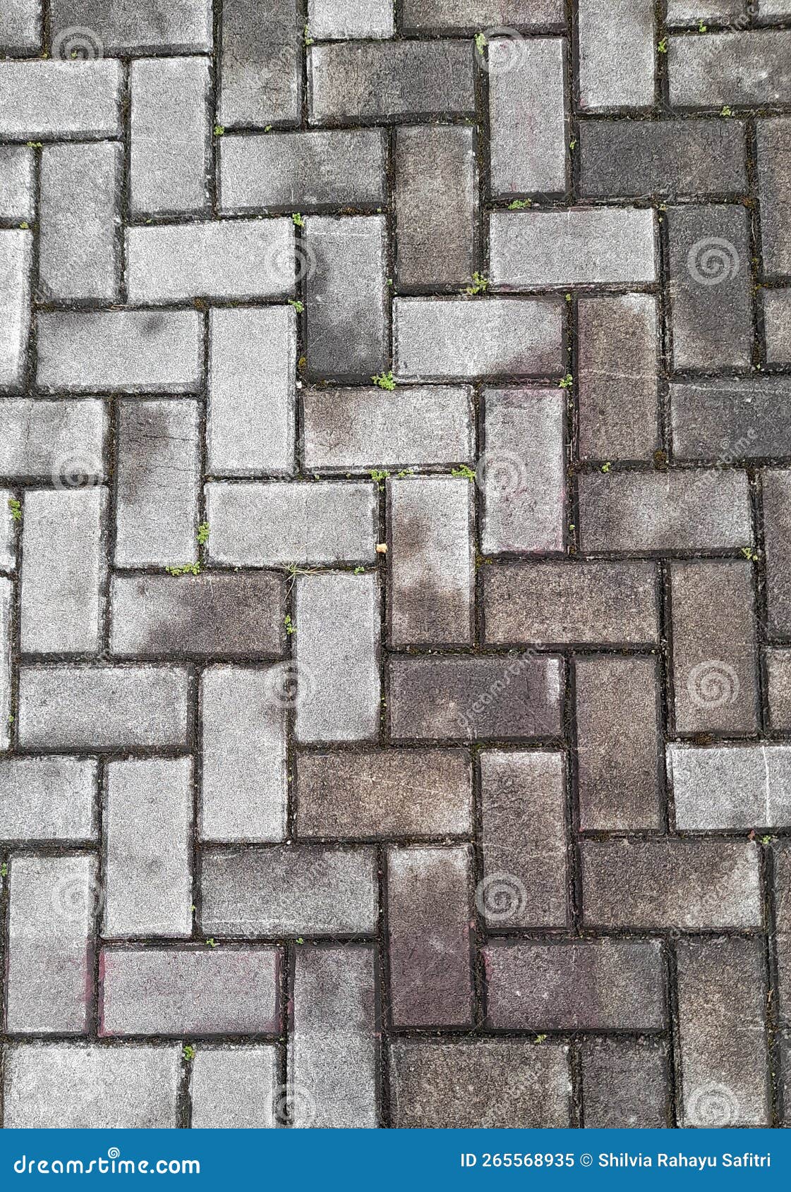 Arrangement of Paving Blocks in the Yard Stock Image - Image of ...