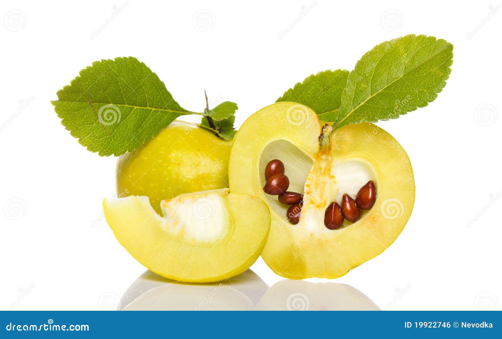 Arrangement of Small Quince Stock Photo - Image of flavor, bitter: 19922746