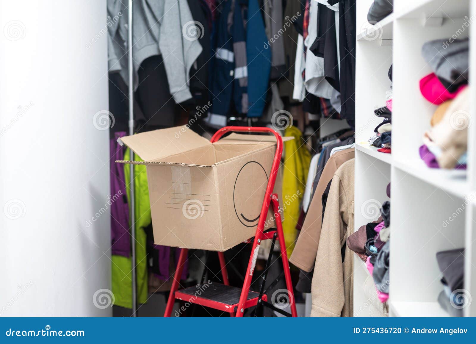 Arranging Clothes at Wardrobe, Moving Stock Photo - Image of declutter ...