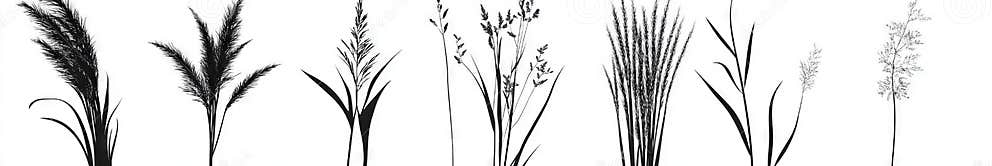 An Array of Black Grass Shapes. Lawn Border. the Lawn in Panorama Stock ...