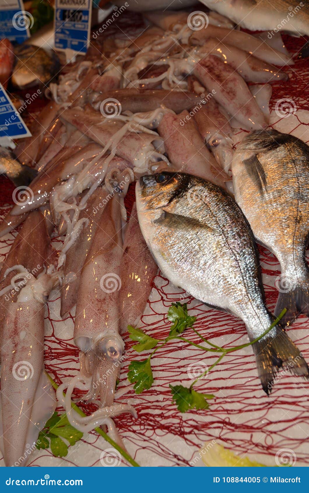 Variety of Fresh Fish Seafood Stock Image - Image of catch, fresh ...